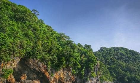 The Official Site | Book Trinbago